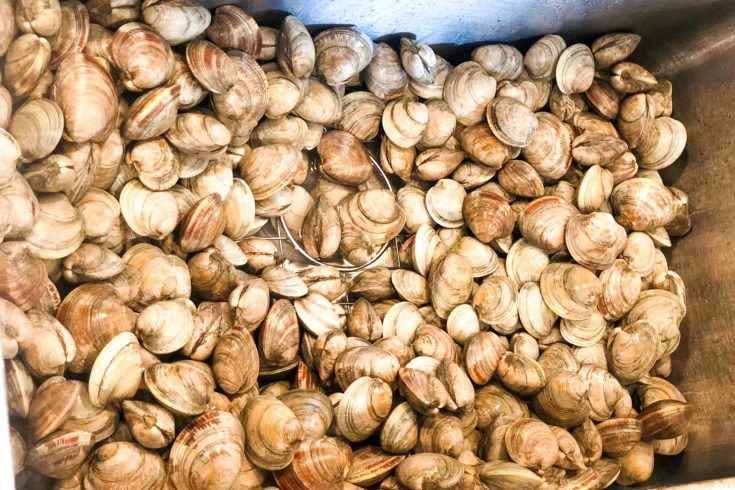 Best Steamed Clam Recipe — Fresh Simple Home Fresh Simple Home